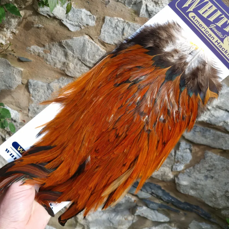 Whiting American Rooster Saddle in Brown