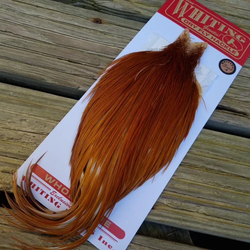 Whiting Bronze Grade Dry Fly Rooster Cape in Medium Ginger A
