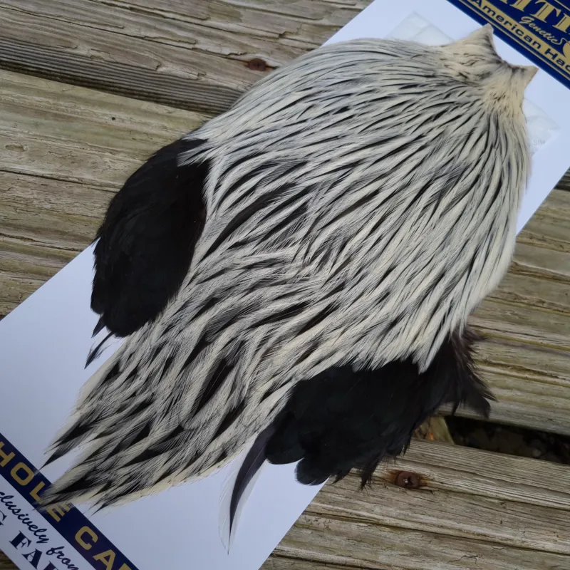 American Rooster Cape in Natural Silver Badger