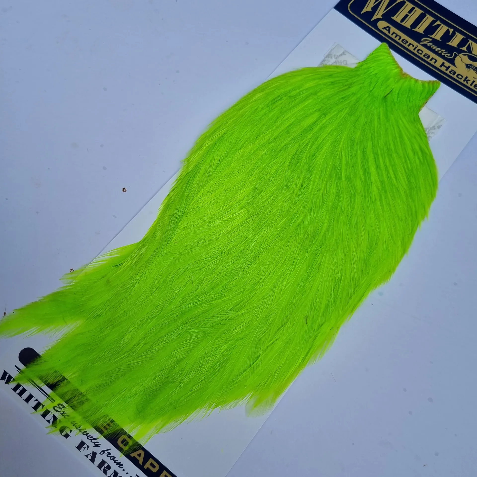 Whiting American Rooster Cape in Fl.Green Chartreuse