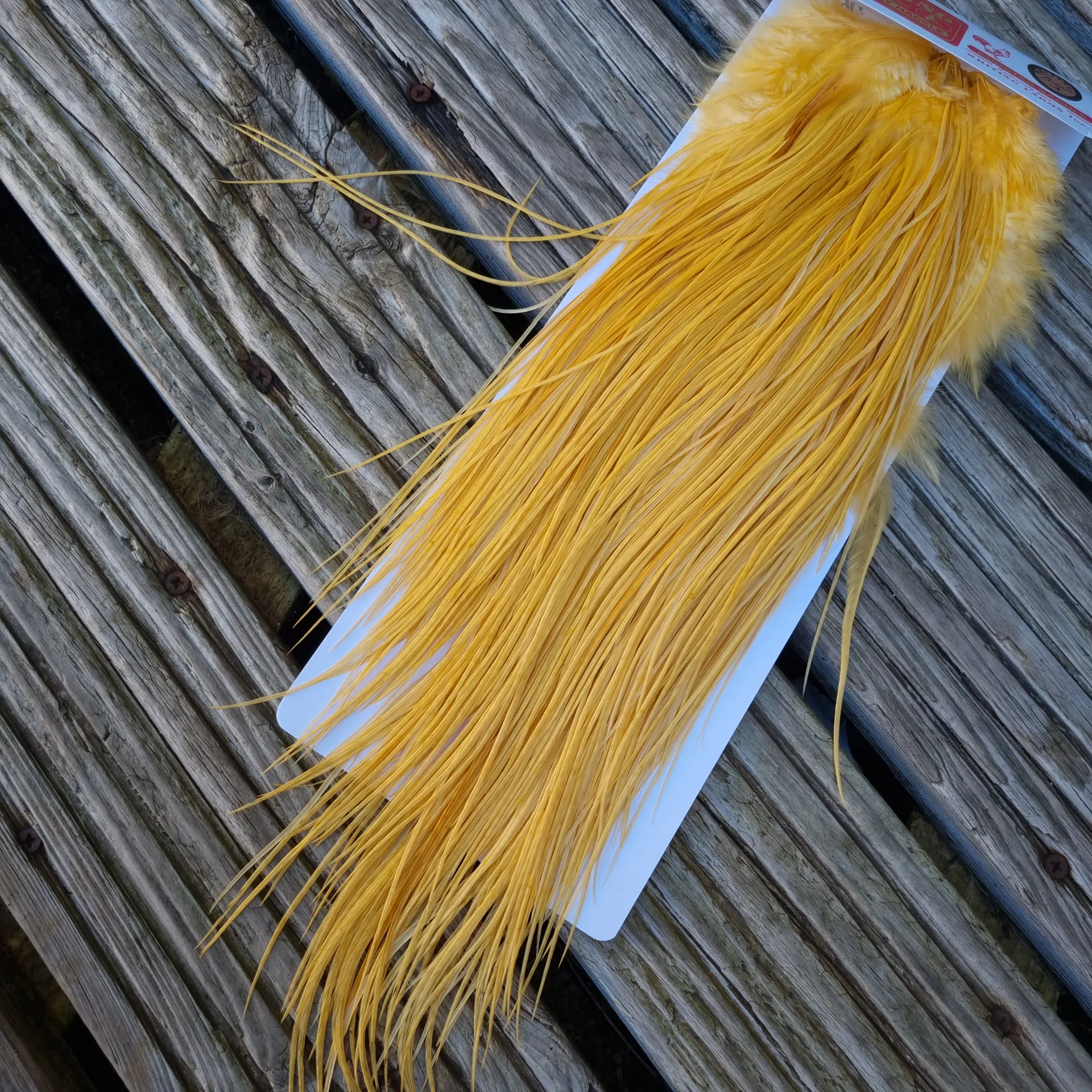 Whiting Bronze Grade Dry Fly Rooster Saddle in White Dyed Golden Straw ...