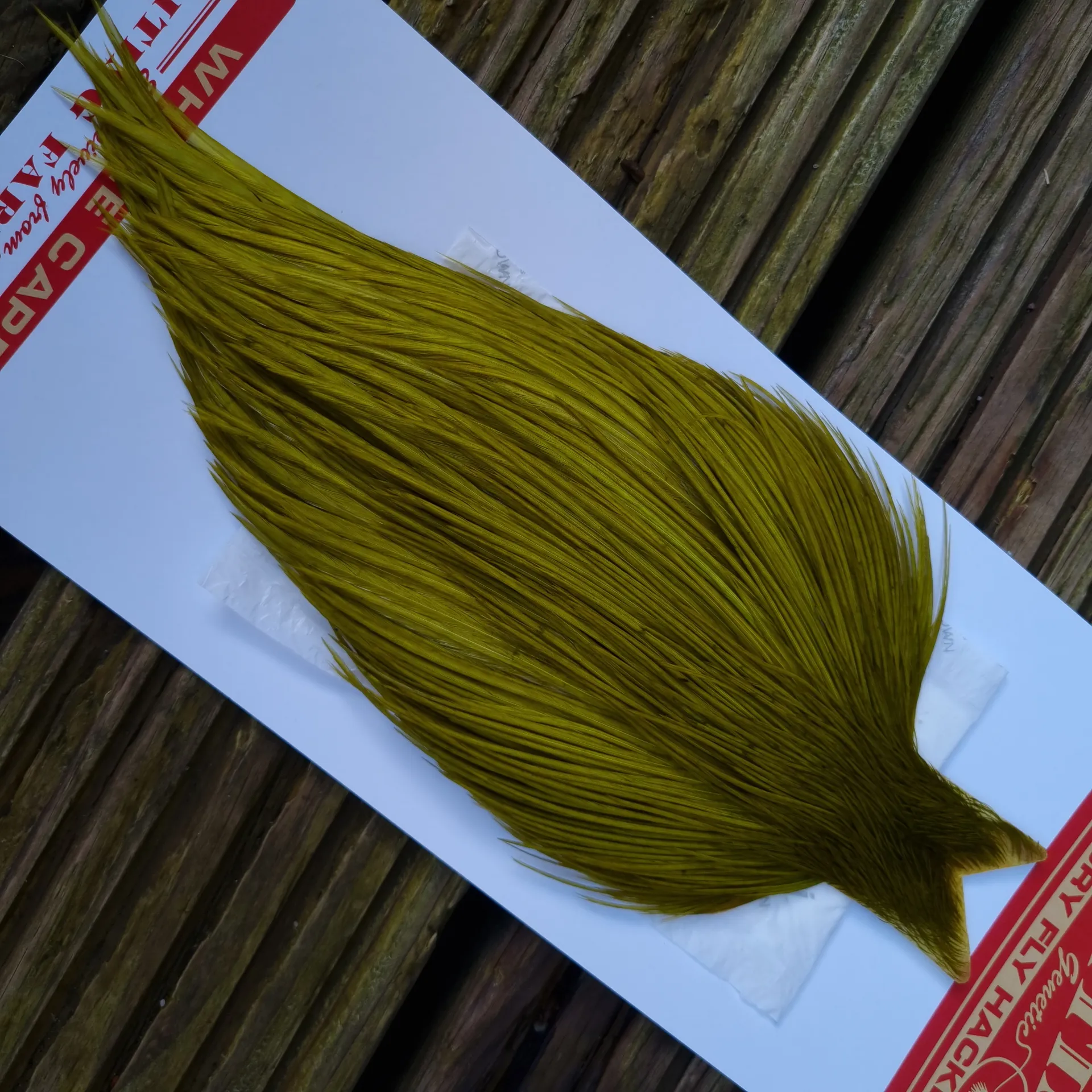 Whiting Commercial Grade Dry Fly Cape in White dyed OLIVE A