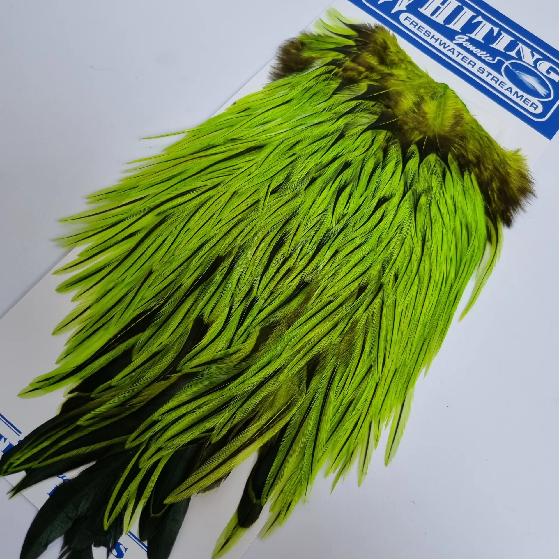 Whiting Freshwater Streamer Rooster Saddle in Silver Badger Dyed Fl ...