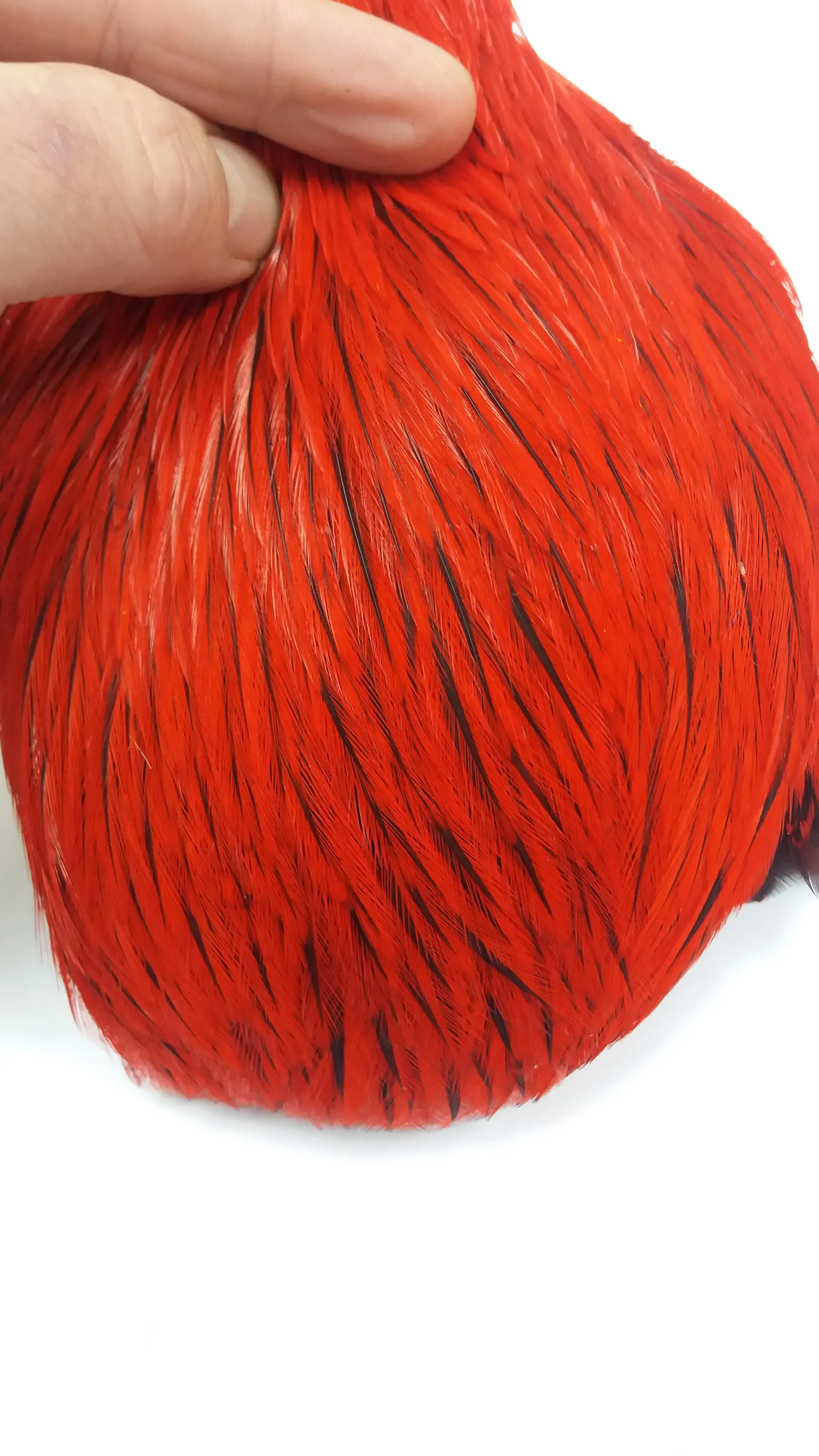 The Lakeland Brahma Rooster Cape in Silver Badger Dyed Red from Whiting ...