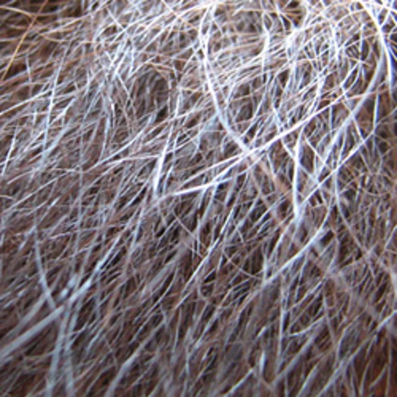 Roman Moser Calf Body Hair Dub