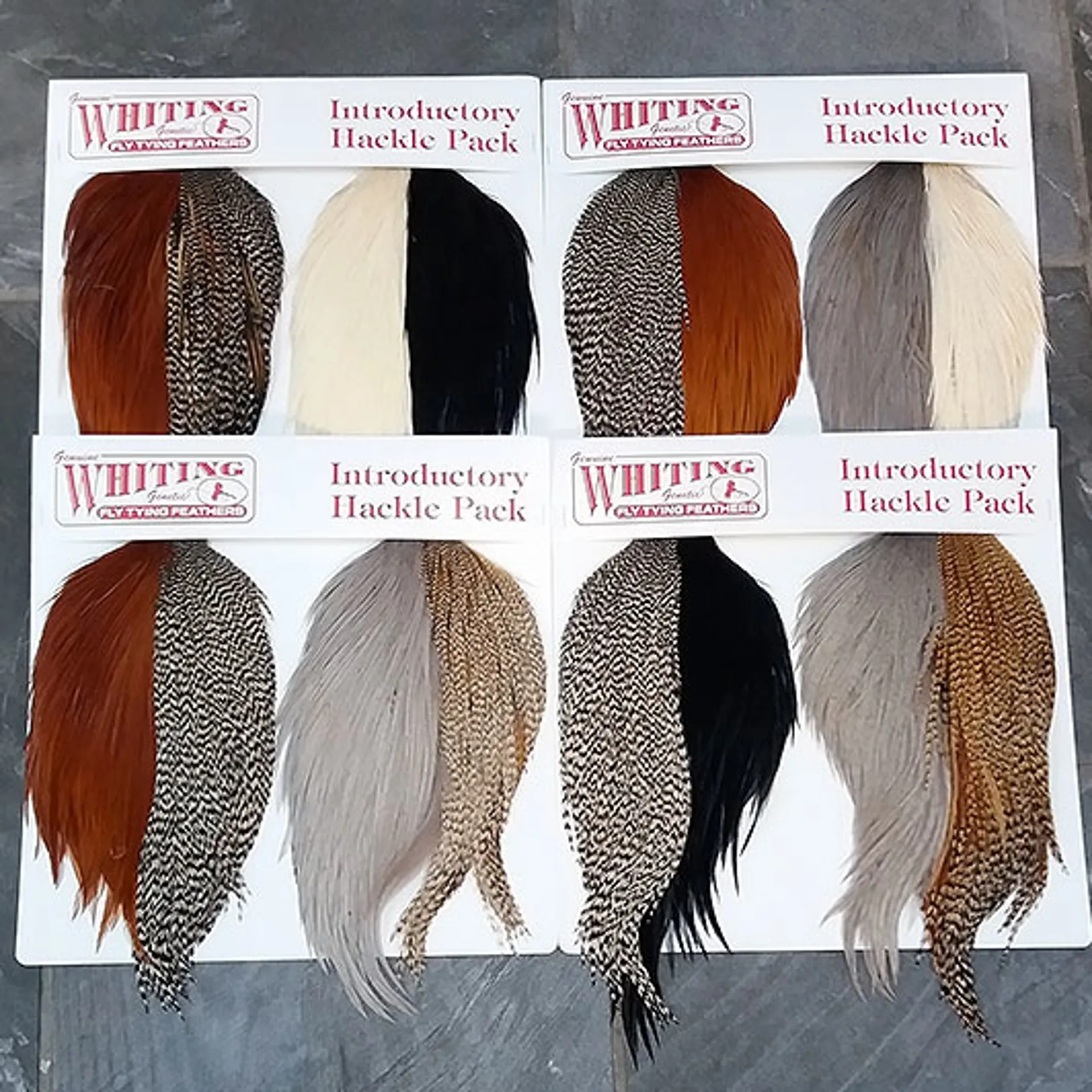 Whiting Introductory Dry Fly Hackle pack, FOUR 1/2 Rooster Capes