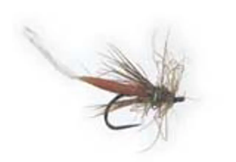 Rainys Emerger Trailing Shuck Tube Bodies