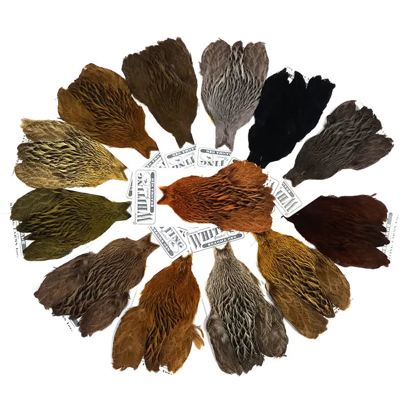 Whiting Brahma Hen Cape