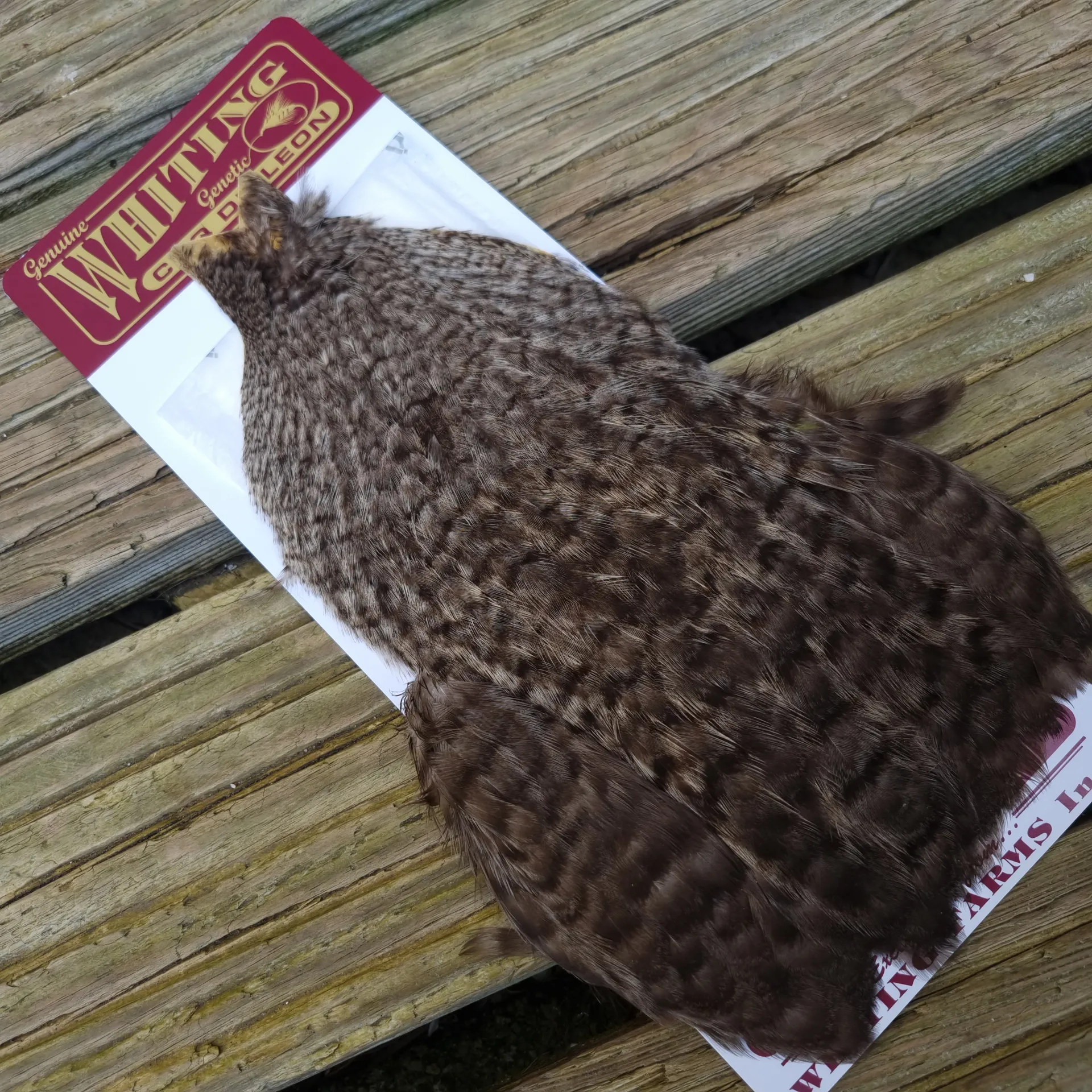 Whiting Coq de Leon Hen Cape in Unique Variant A