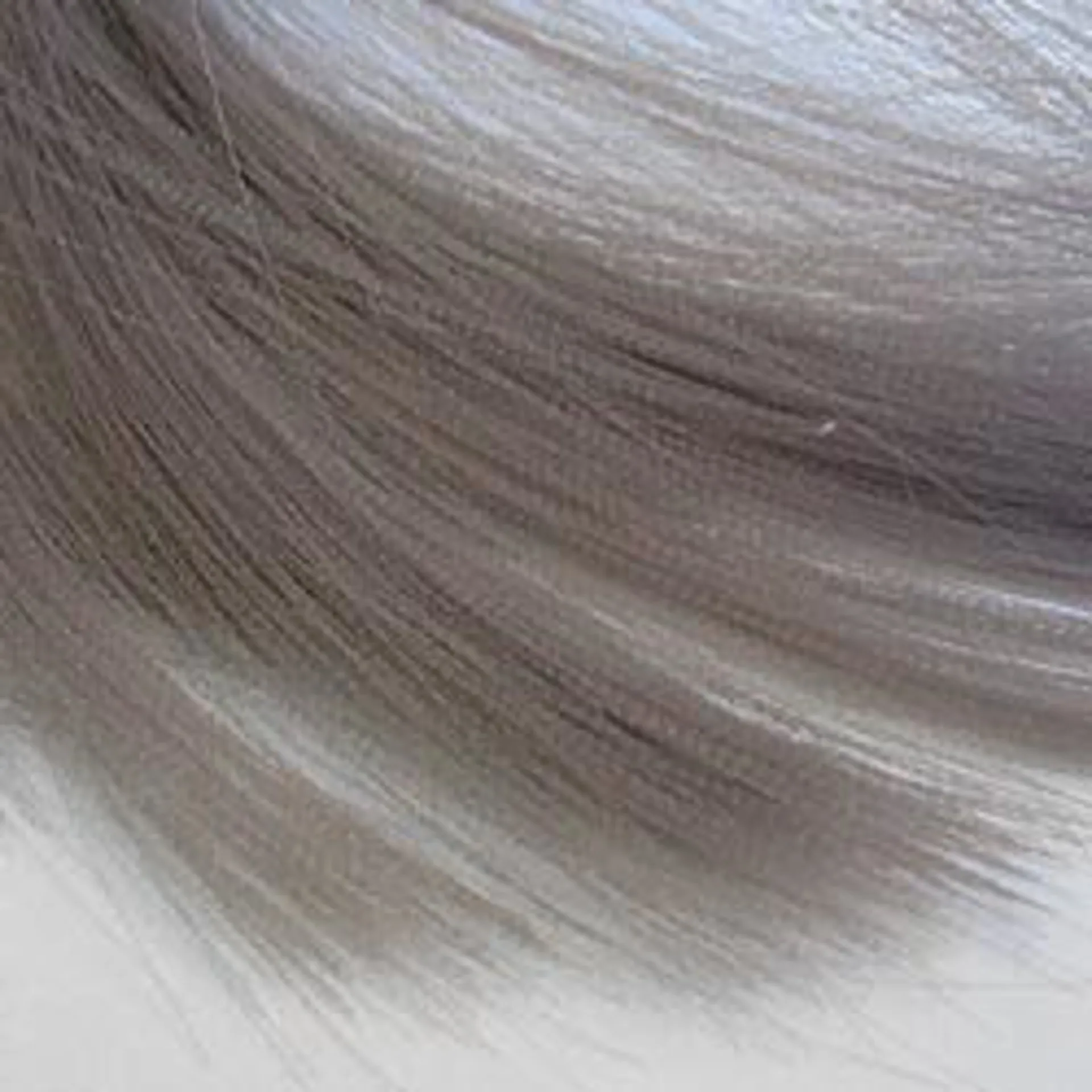 Roman Moser Dust Fibre