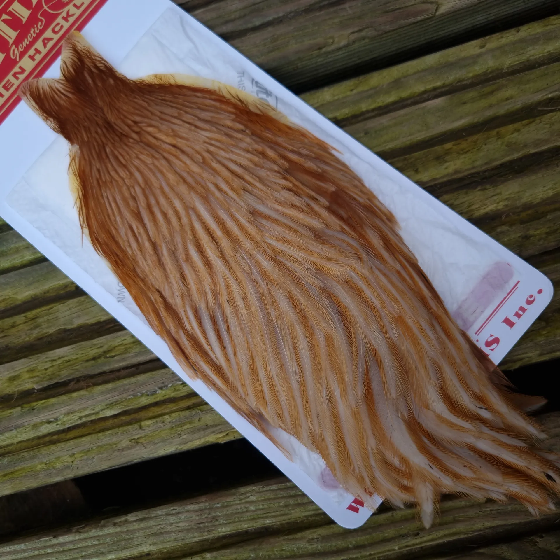 Whiting Hen Cape in Medium Ginger B