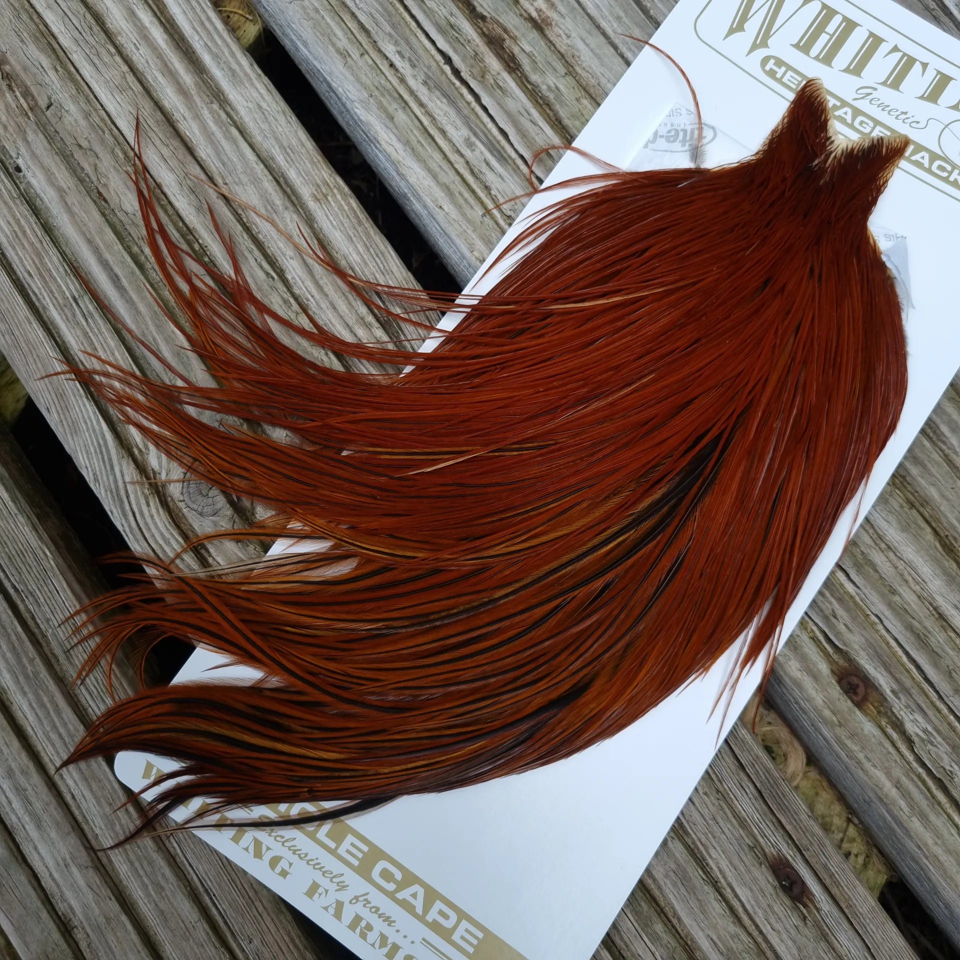 Whiting Heritage Hackles Rooster Cape in Mixed Colours M Red Game/Furnace