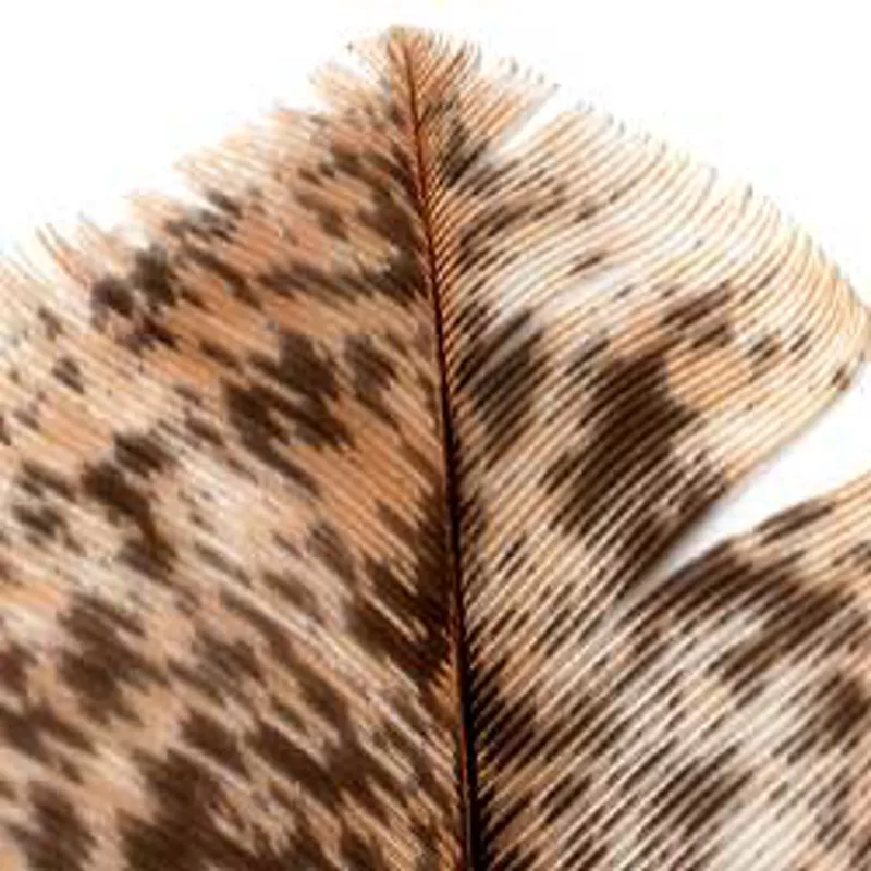 1 Mottled Oak Turkey Quill Grade No.