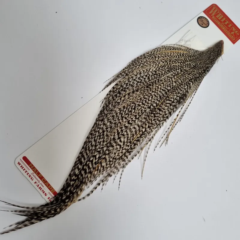 Whiting 1/2 Bronze Grade Dry Fly Rooster Cape in Grizzly Variant